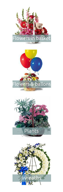 Flowers Denton Texas 🏵️ Mar 2026