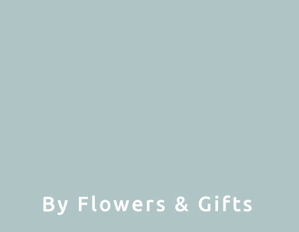 Flowers Denton Texas 🏵️ Mar 2026