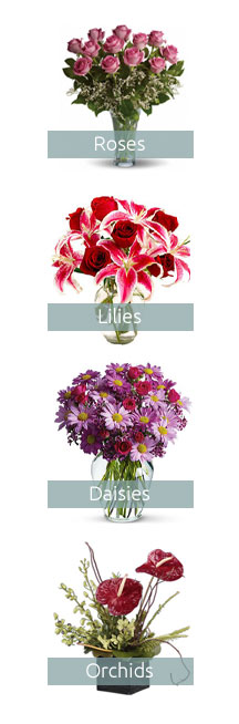 Flowers Denton Texas 🏵️ Mar 2026